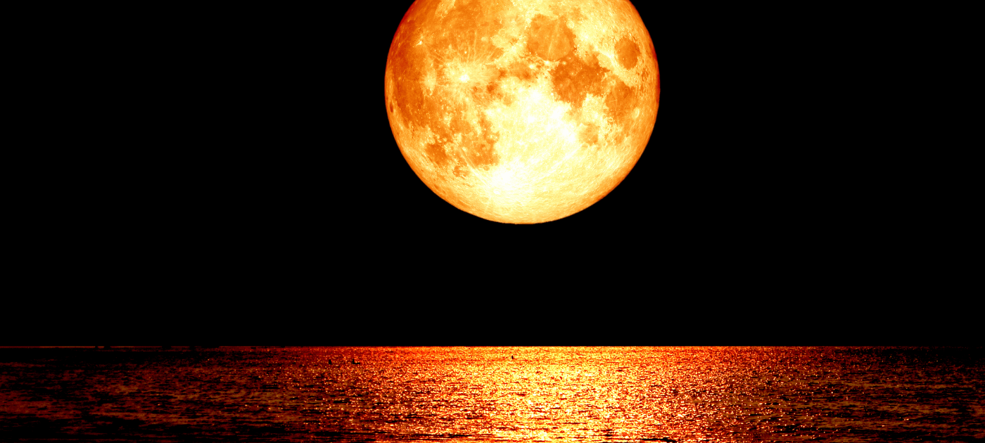 Full Corn Moon, Ascension Symptoms, and Conscious Creation